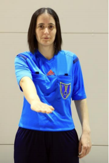 Handball Referee