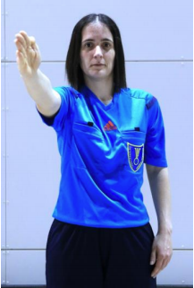 Handball Referee